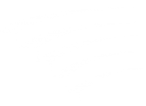 Congress Asset Management